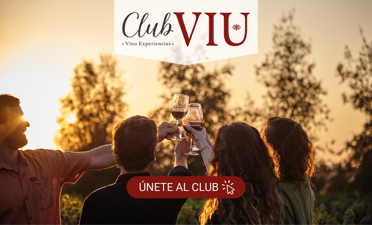 VIU MANENT EXPERIENCE – Viu Manent
